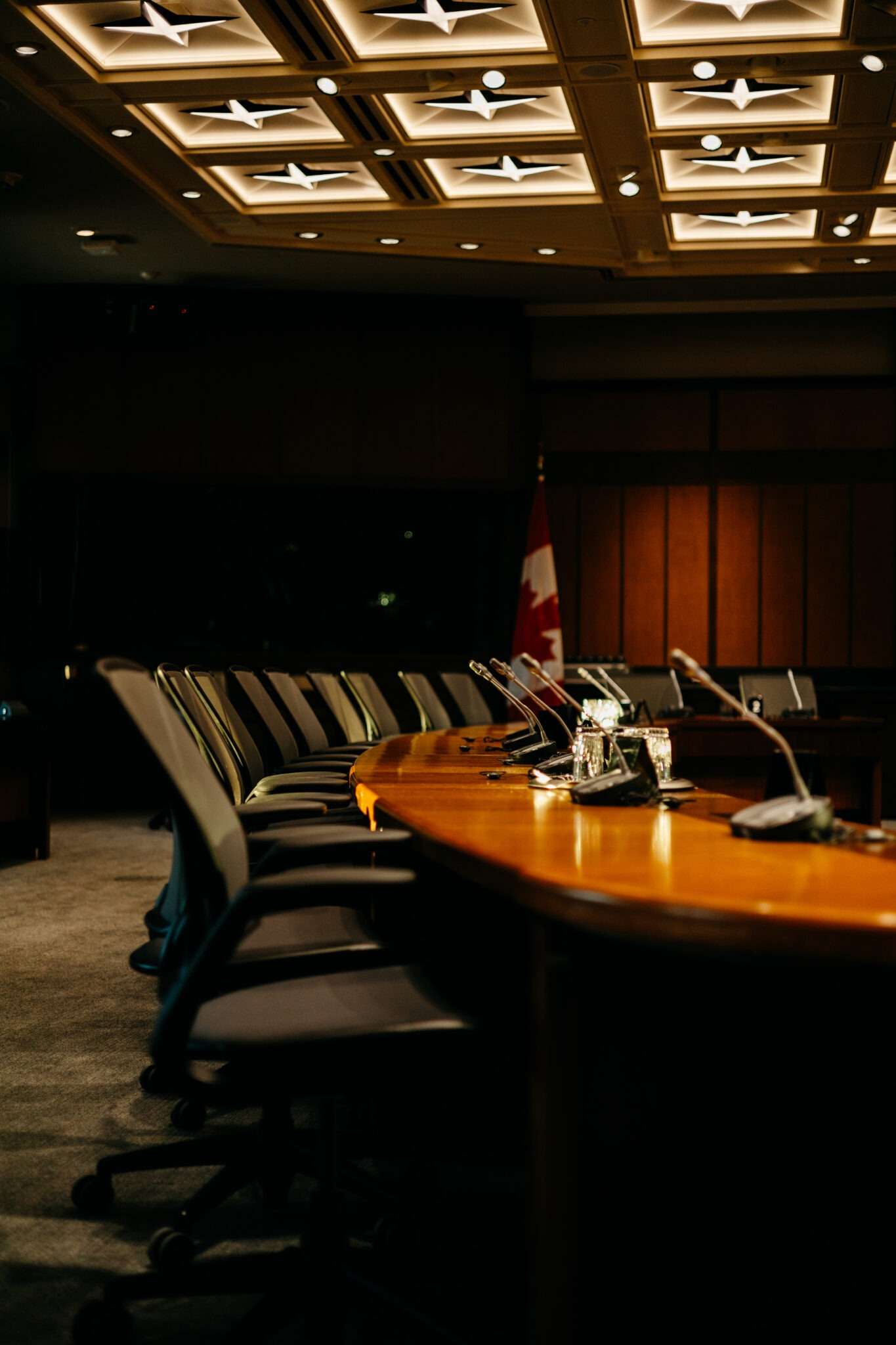 Understanding INTERPOL Notices: Navigating Challenges and Implications