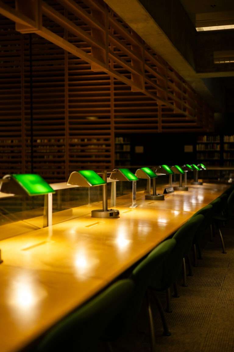 2024 INTERPOL RPD Amendments: Key Updates and Implications